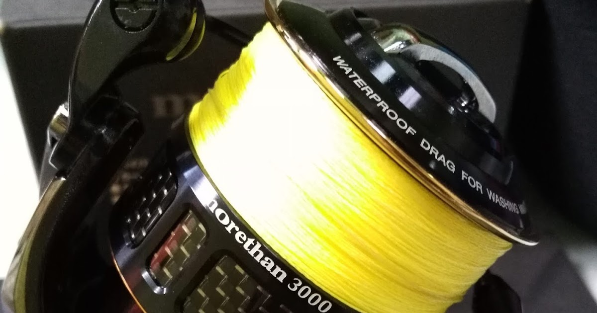 Young Fishing Tackle Shop: Perkara yang perlu dipertimbangkan sebelum ...