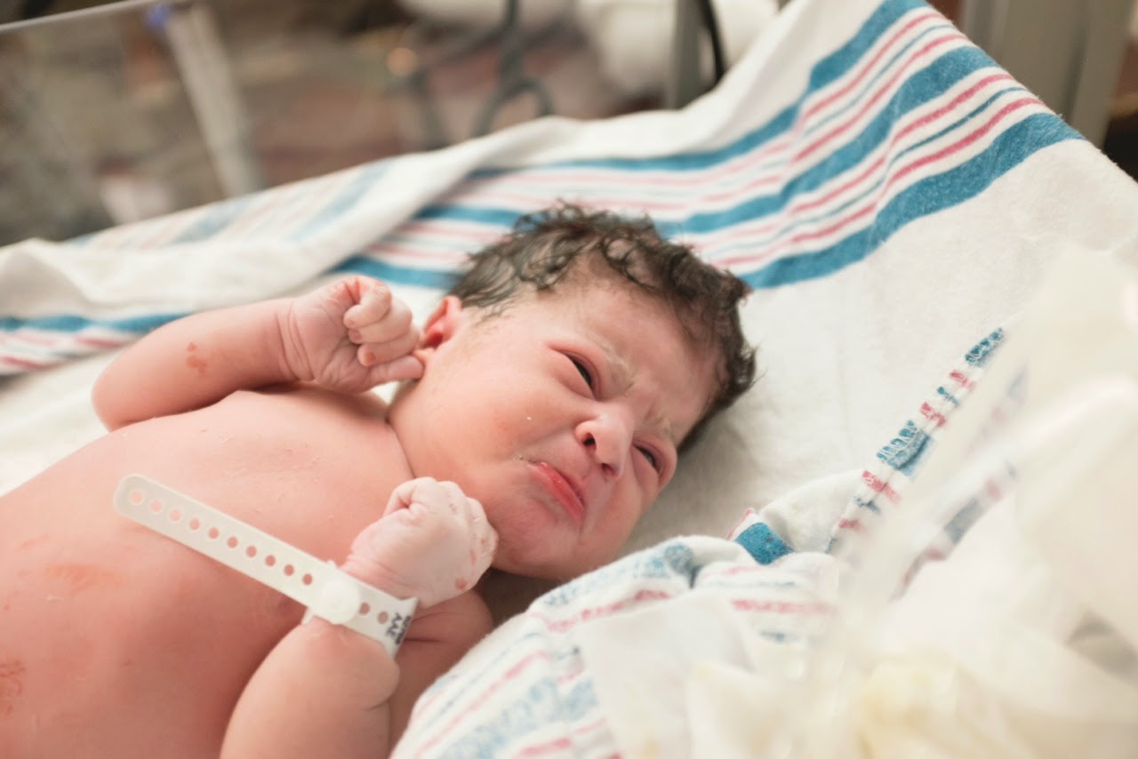 Journeys of Mangonett