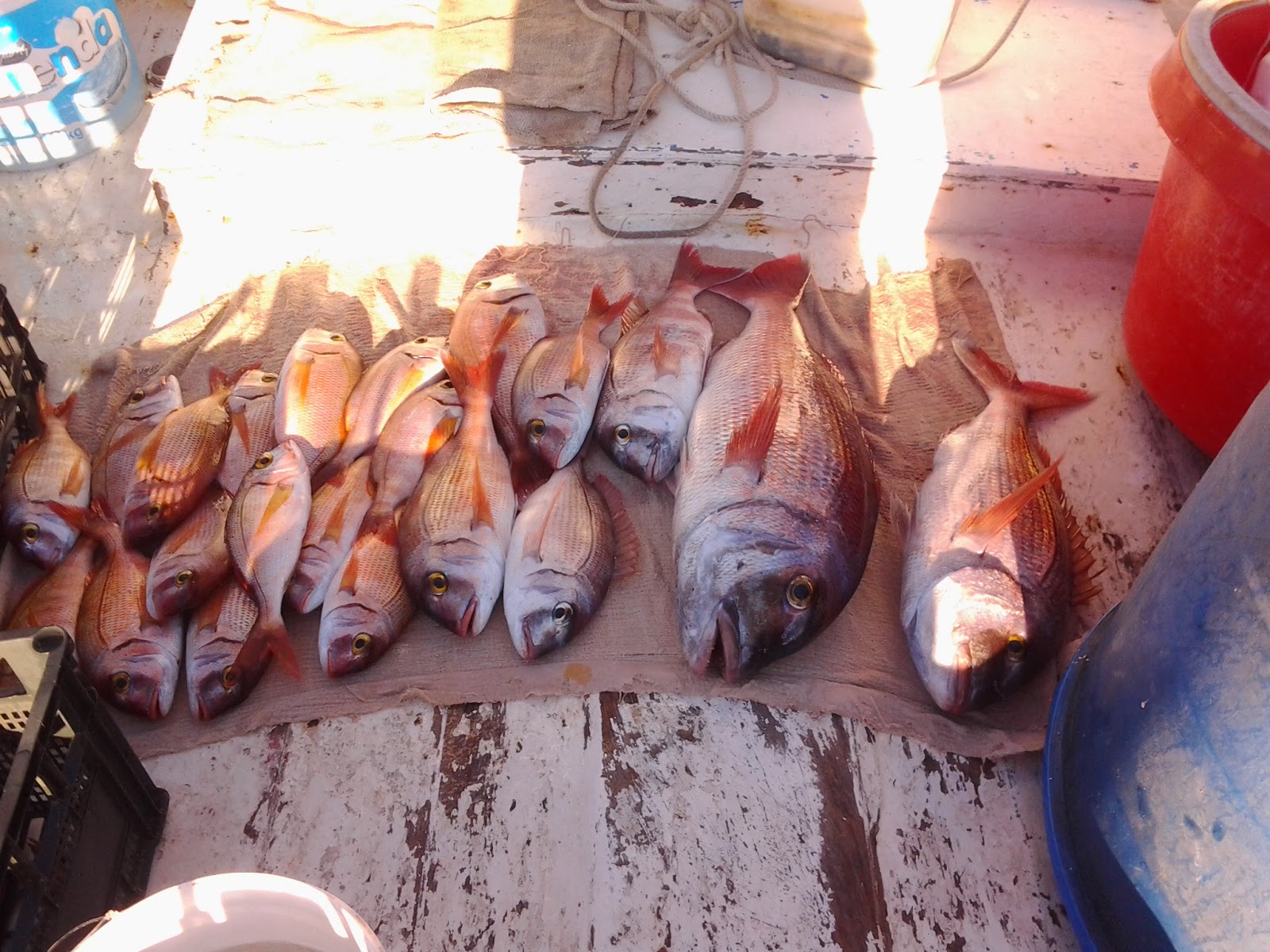 A day in the life of a fisherman