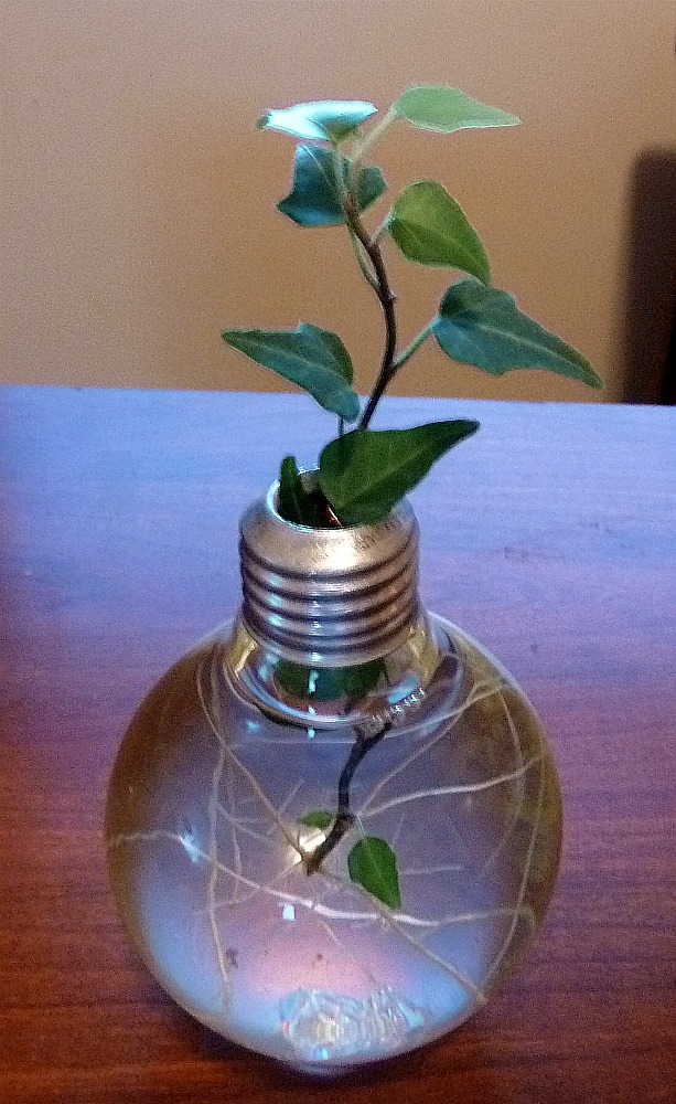 Petrina Case Studio: Recycle a used light bulb