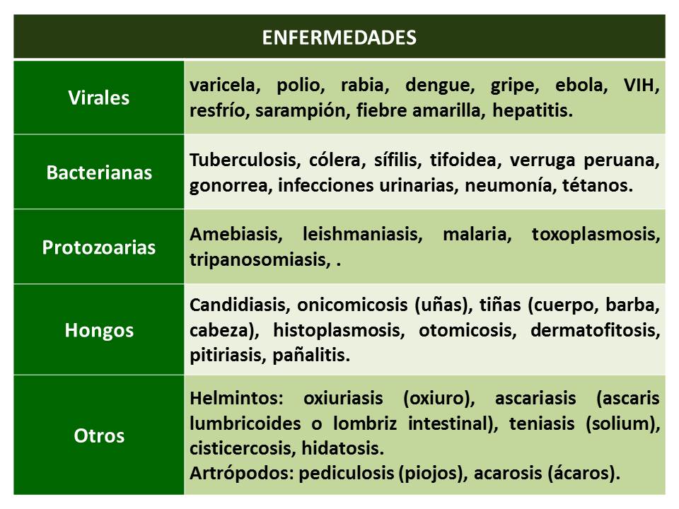 Biología didáctica: NSC 5° - Enfermedades