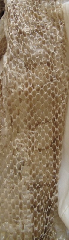 Life is short, but snakes are long: Identifying snake sheds