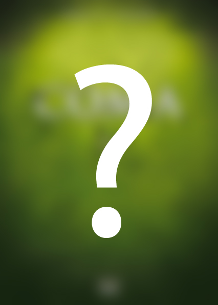 Arte literario: ¿Qué es esta imagen?