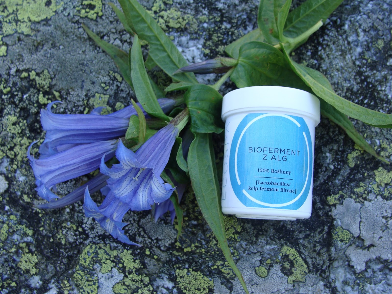 Natalie Forever - o wszystkim co naturalne : Bioferment z alg morskich