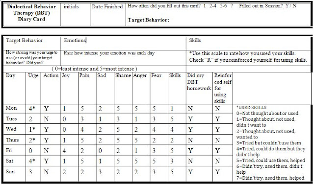 DBT in 3 Months: My Journey through Marsha Linehan's Little Red Book ...