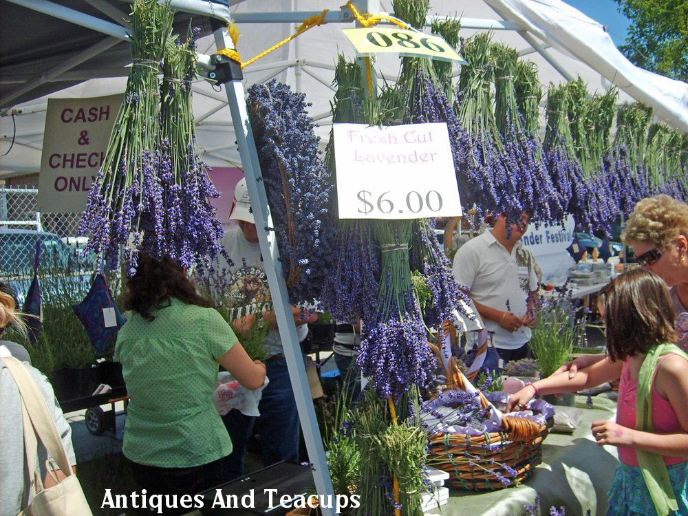 Antiques And Teacups: Sequim Lavender Festival Tuesday Cuppa Tea