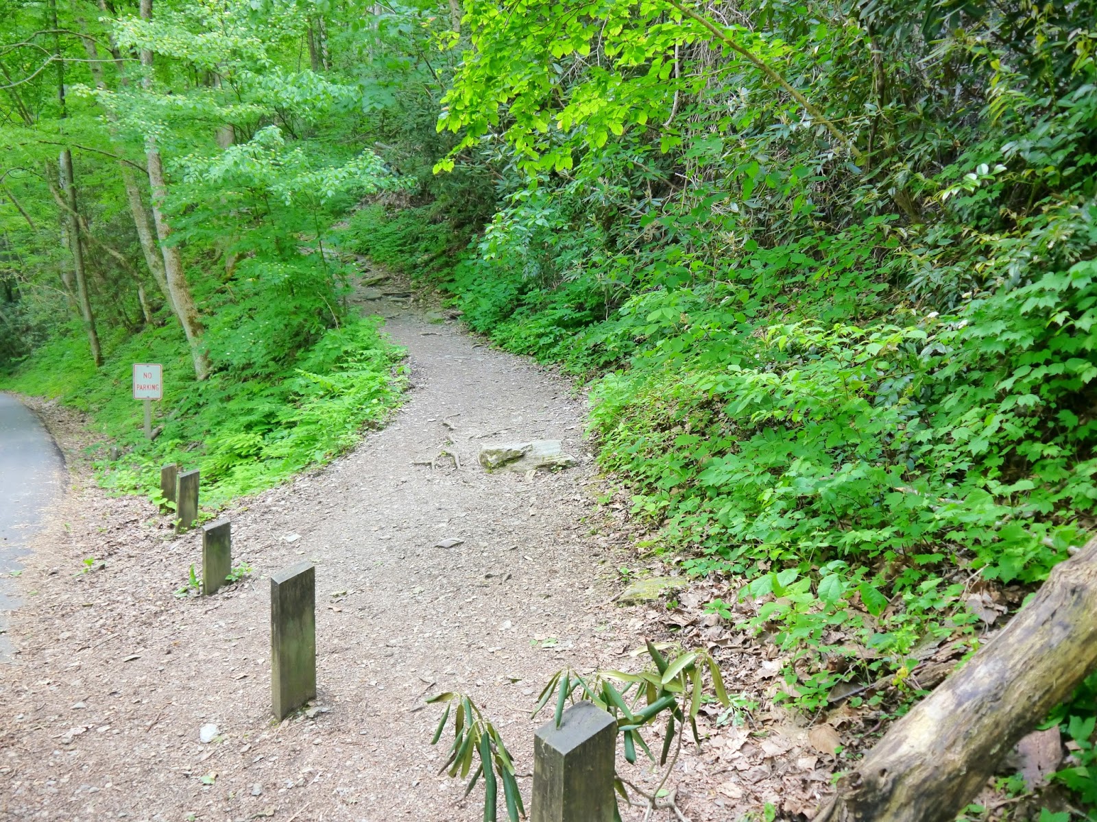 American Travel Journal: Bald River Falls and Kahuna Falls - Cherokee ...