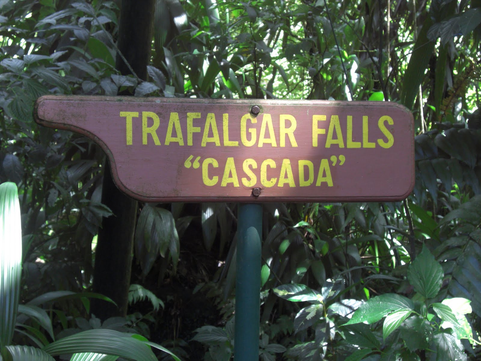 WINE-OH OF THE YEAR: Dominica