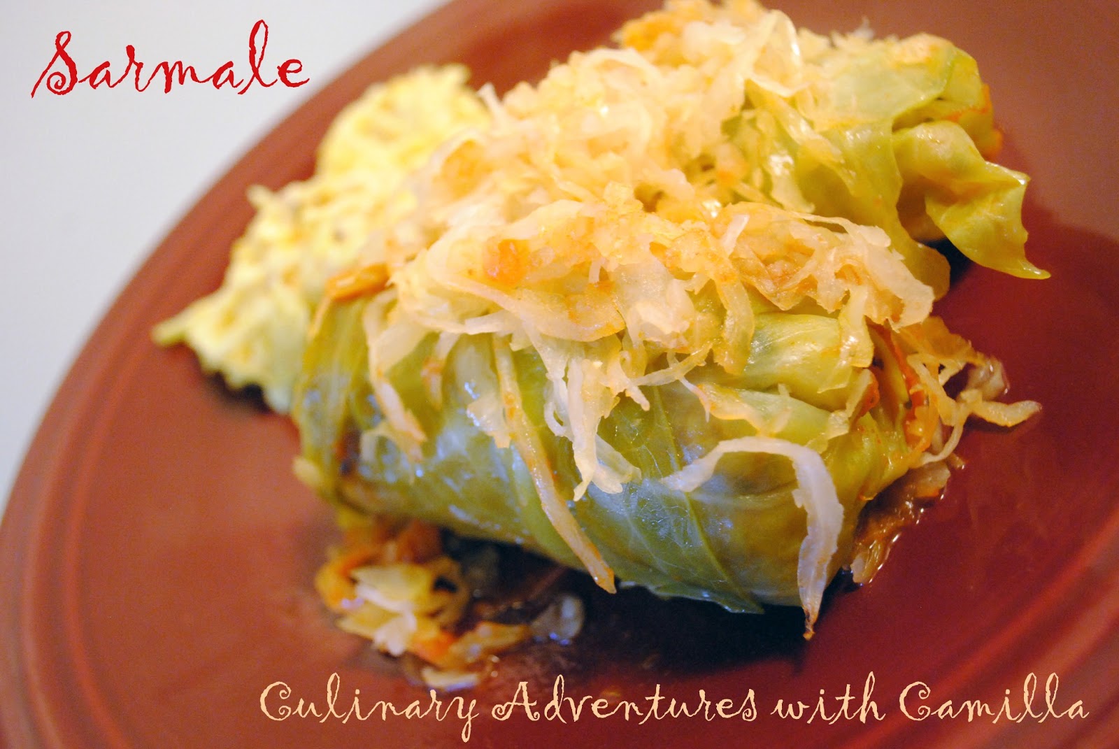 Sarmale {Moldovan Stuffed Cabbage Leaves}
