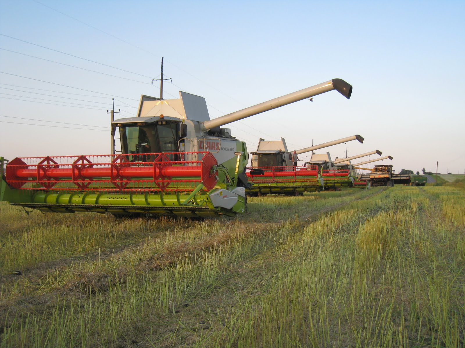 Green Square Agro Consulting: Ukraine grain yield down but quality up