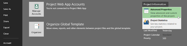 Project Management for IT and Tech: Using VBA with Microsoft Project to ...