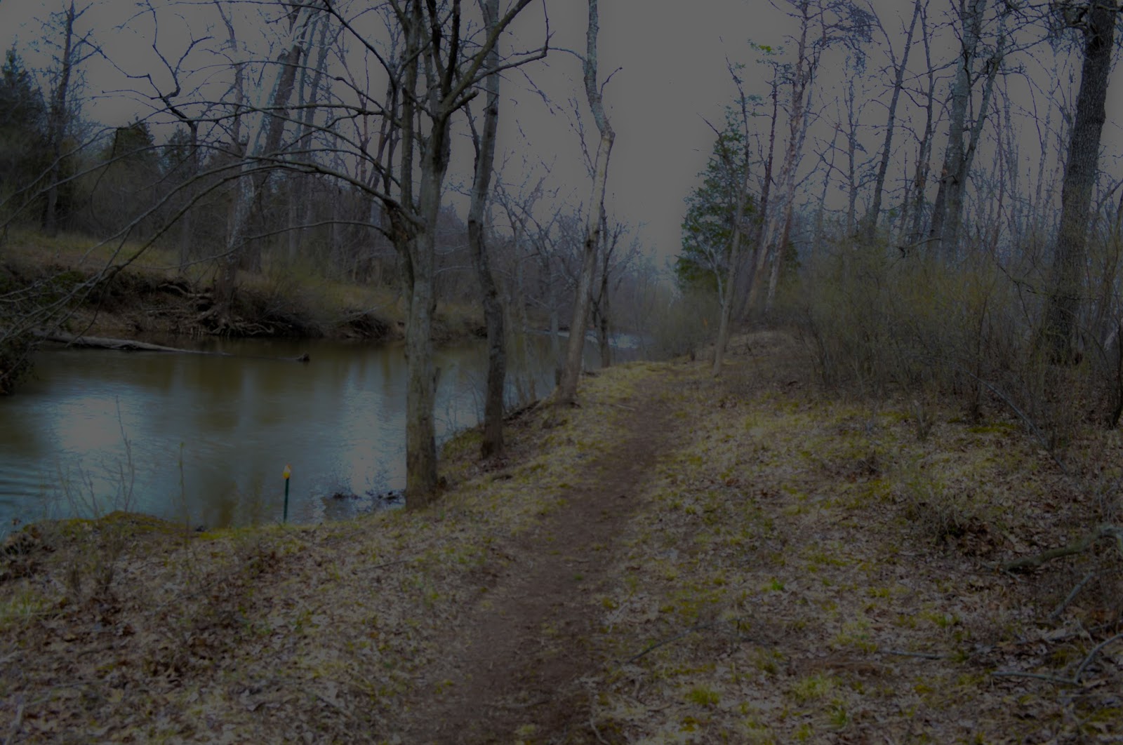 Grace Crehan Photography