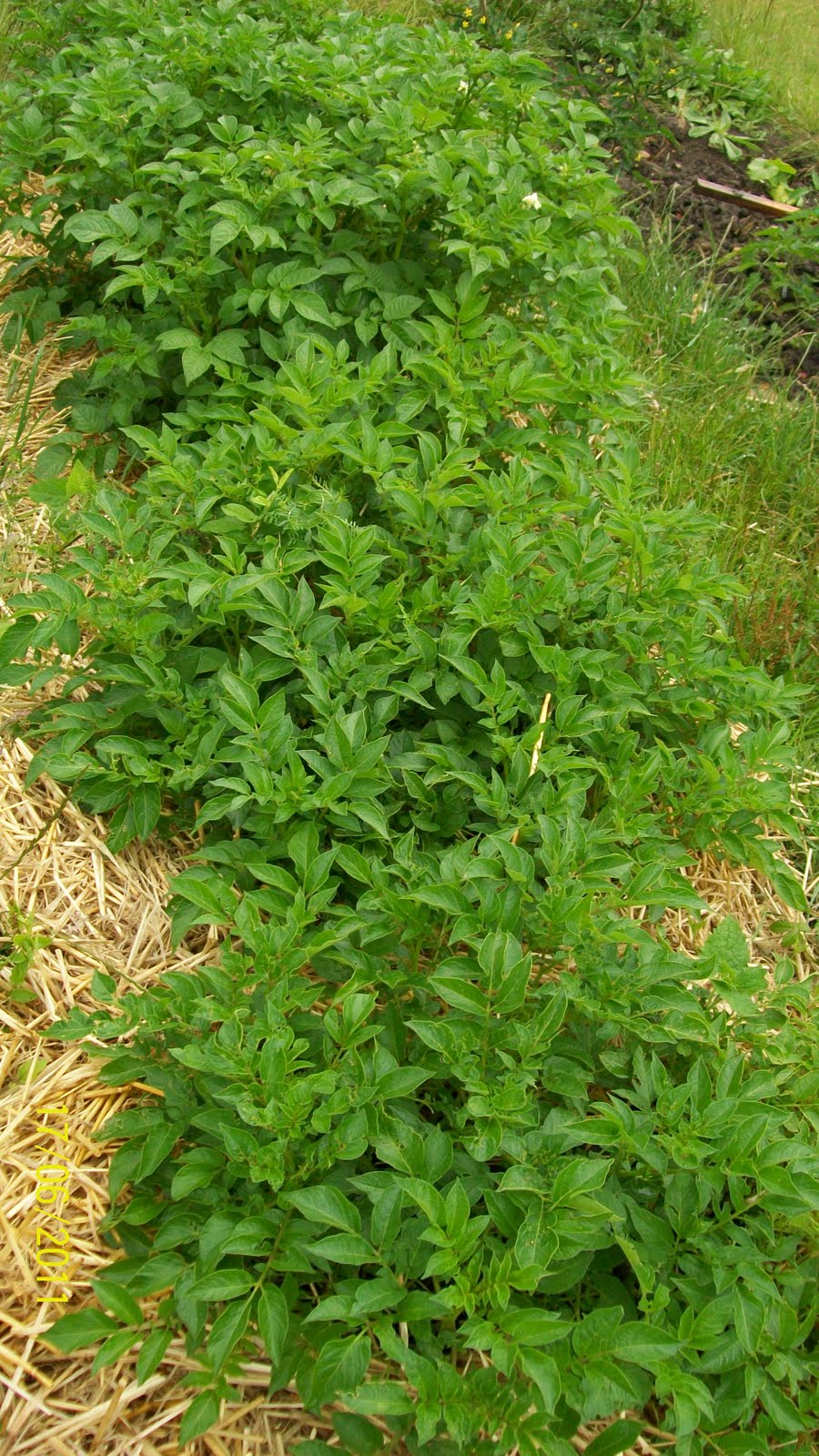 gone plotterin: Fruitless furtling