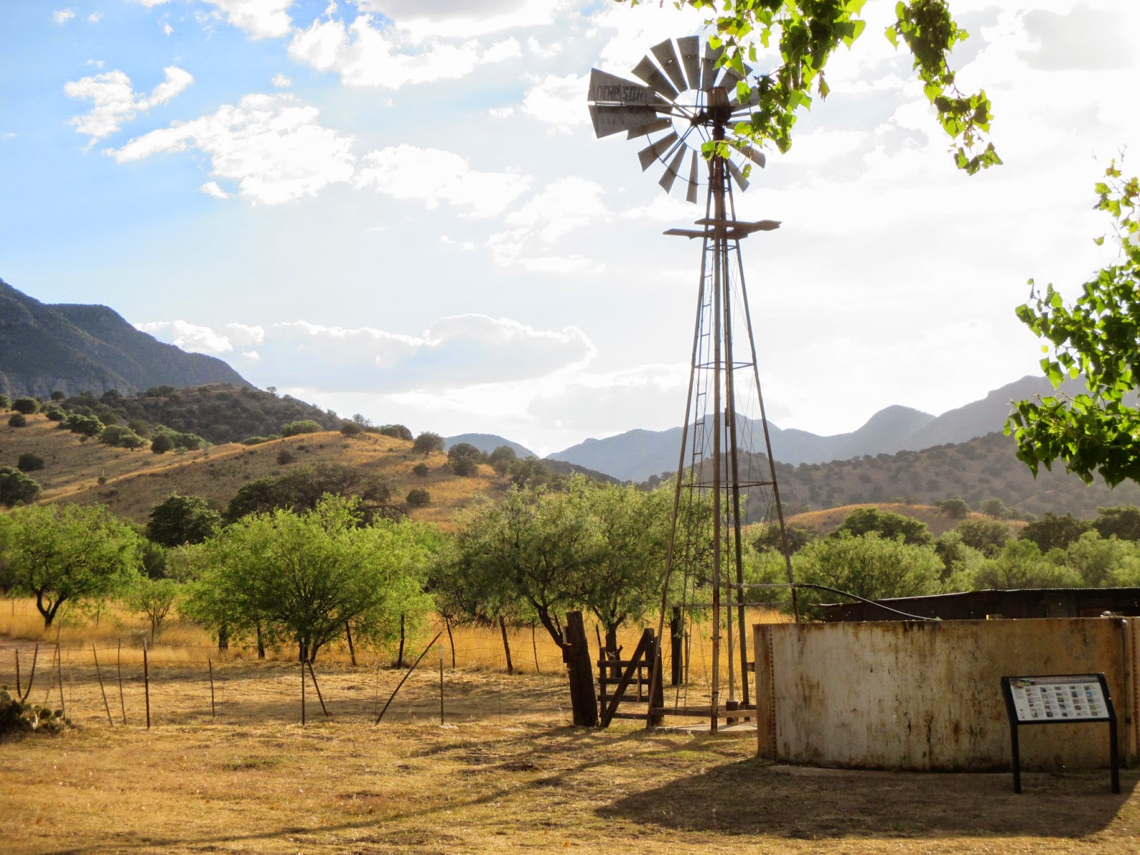 Backyard Excursions: Brown Canyon Ranch