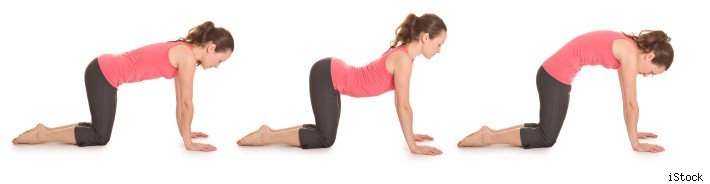 Prana Mama: Asanas: Marjaryasana/ Bitilasana (Cat Cow Pose)
