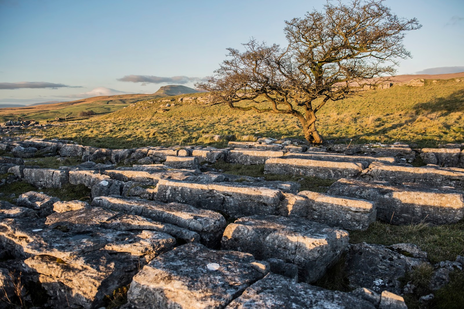 Wigtwizzle - Norman Smith's Travel Blog.: Winskill Stones