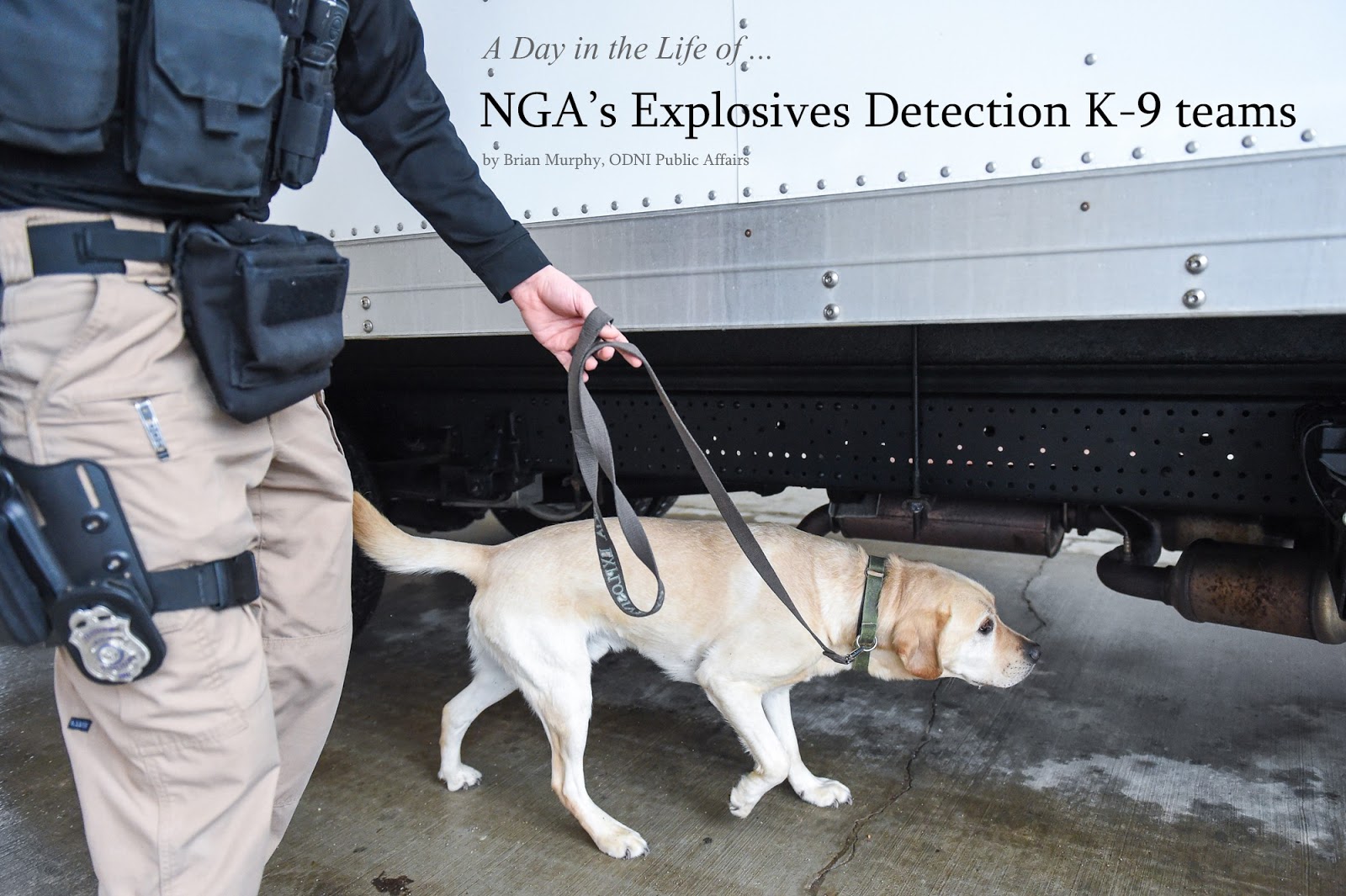 Bomb-sniffing dogs featured in CIA spy thriller novel