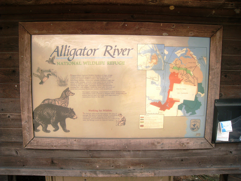Alligator River National Wildlife Refuge (Wildlife Drive)