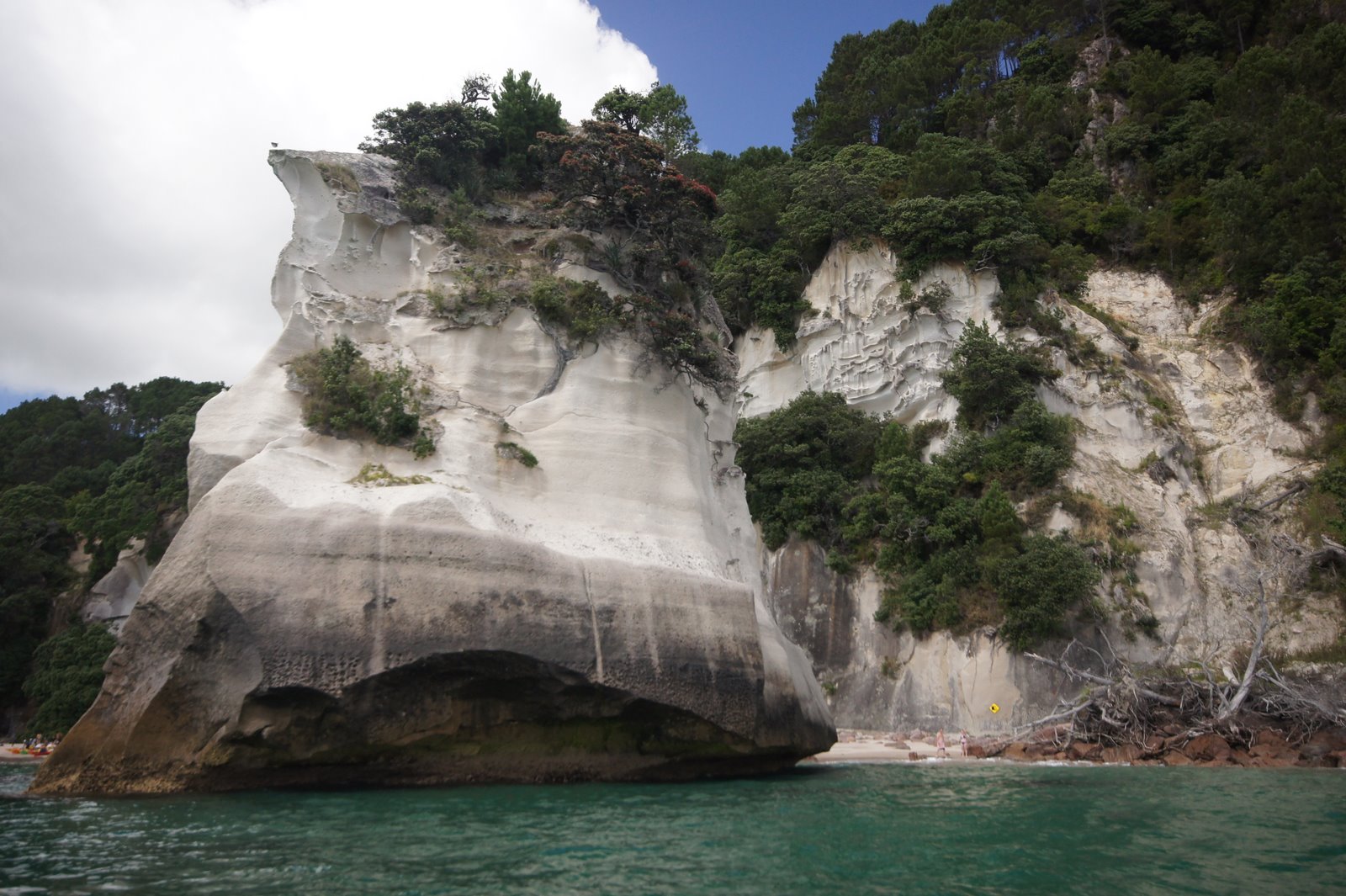 Magi and Sam: Mercury Bay, the beautiful escarpments and famous bays ...