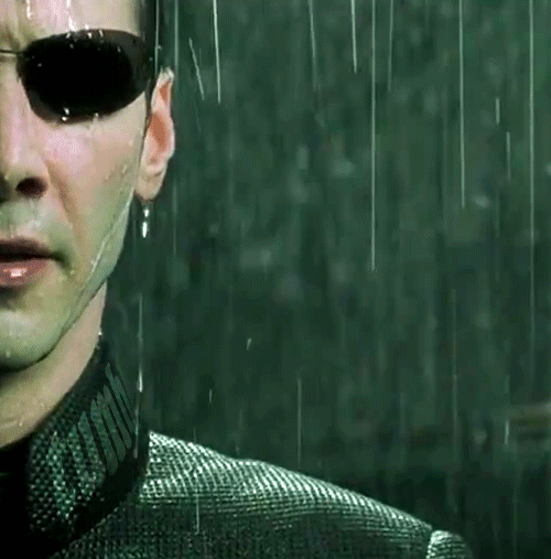 Matrix Rain Gif Wallpaper at Alyssa Dalziel blog