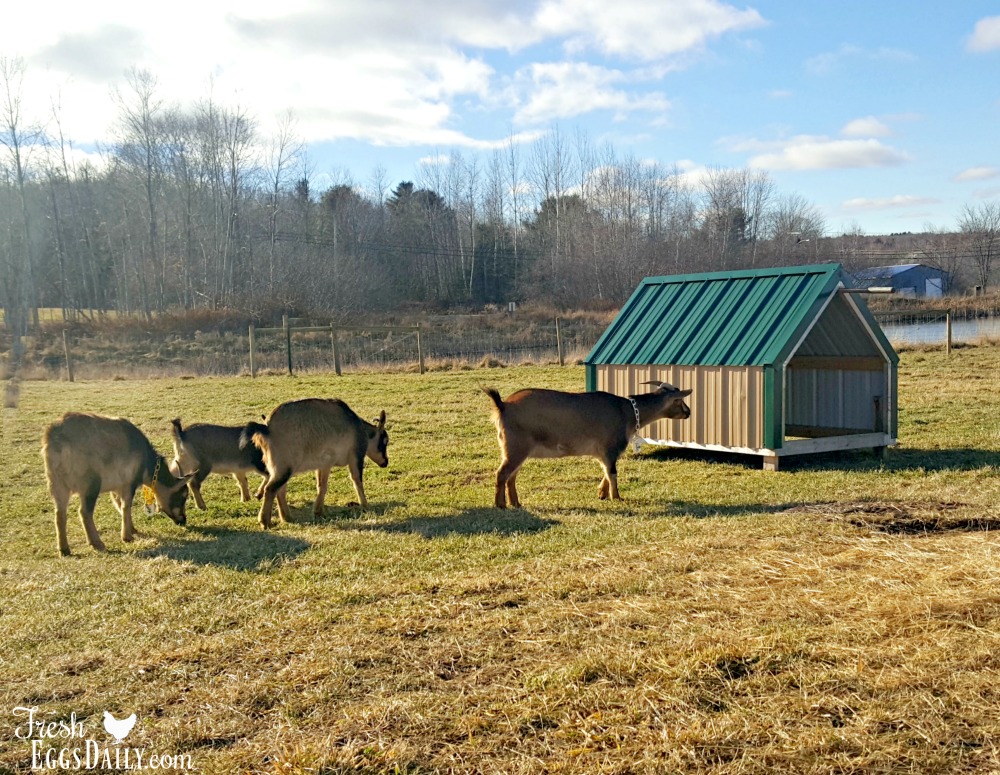 Laying Out A Small Farm