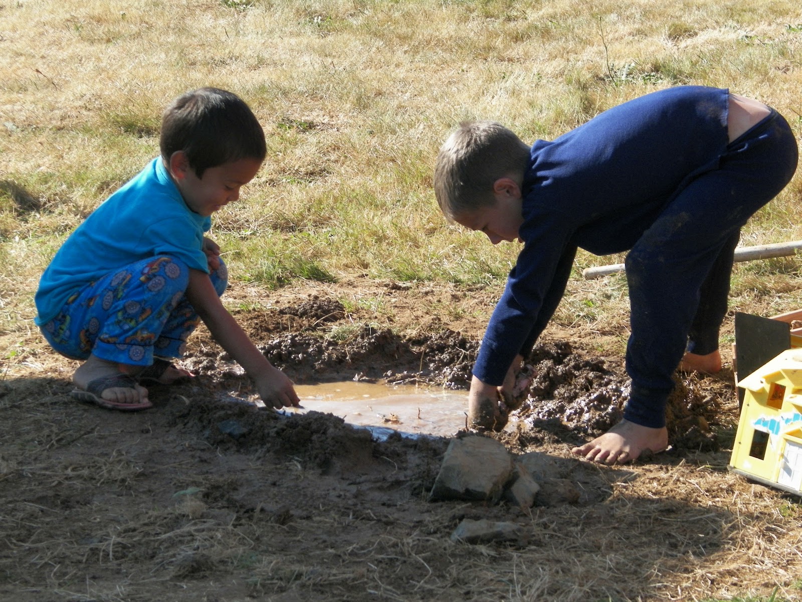 From Cedar Pond to Laughing Dove Farm : Mud Buddies