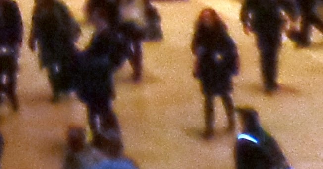 Army Orb Form Fillable - Printable Forms Free Online