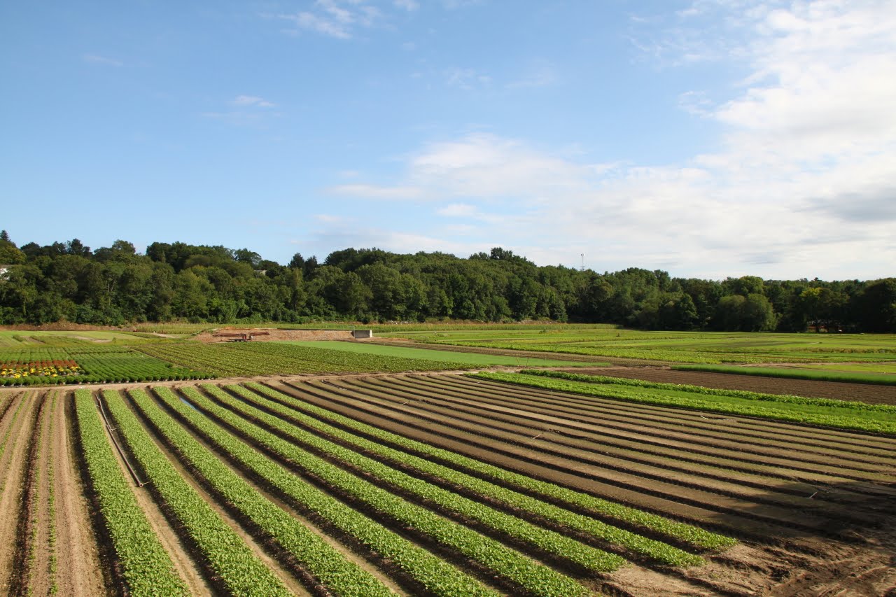 FrameBoston: ウィルソン農場（Wilson Farm）