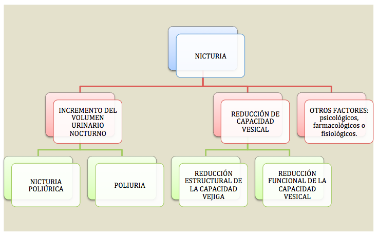Madrid Urología: Nicturia y Poliuria Nocturna. MU