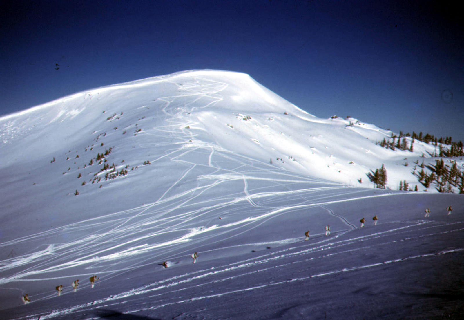 World War II in Color: Soldiers of 10th Mountain Division in the Snow