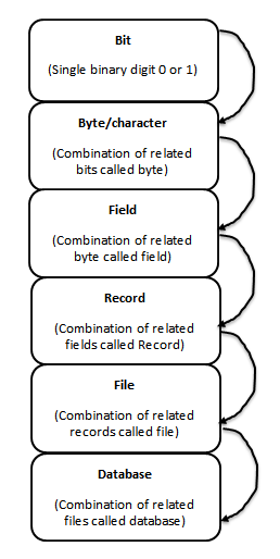 Data Storage Hierarchy