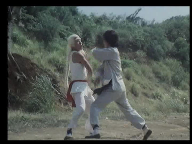 SHAOLIN'S BORN INVINCIBLE a.k.a BORN INVINCIBLE