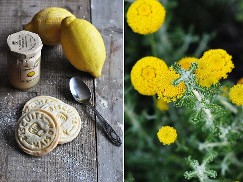 Heart of Gold: Pastel Biscuits
