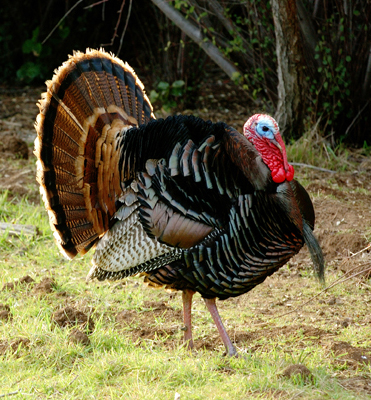 Difficult To Look At