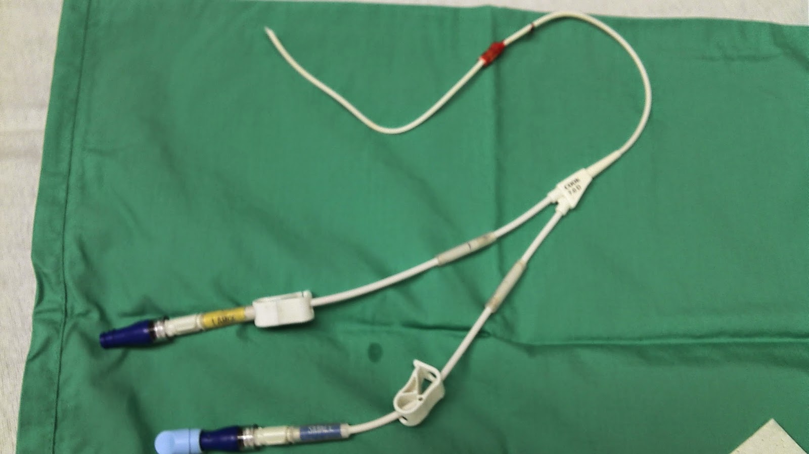 Fishes for Marrow Wishes: Good Bye BroviacFishes for Marrow Wishes