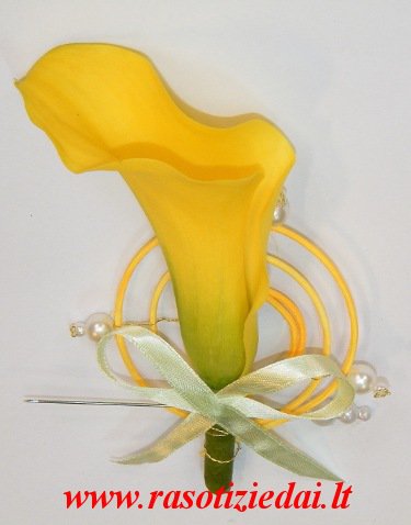 Liudvikos skrynia: Kalijos