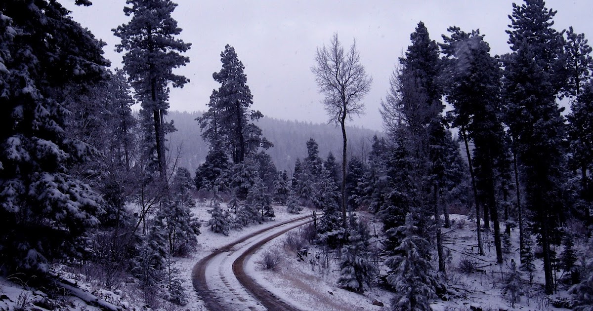 OUTDOORS NM: Otter Olshansky: A lonely death on New Mexico's ...