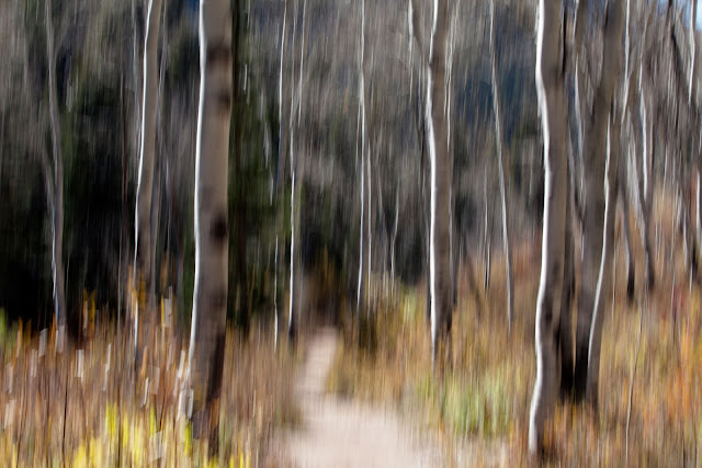 ShutterbugMama: Abstract Landscape Photography