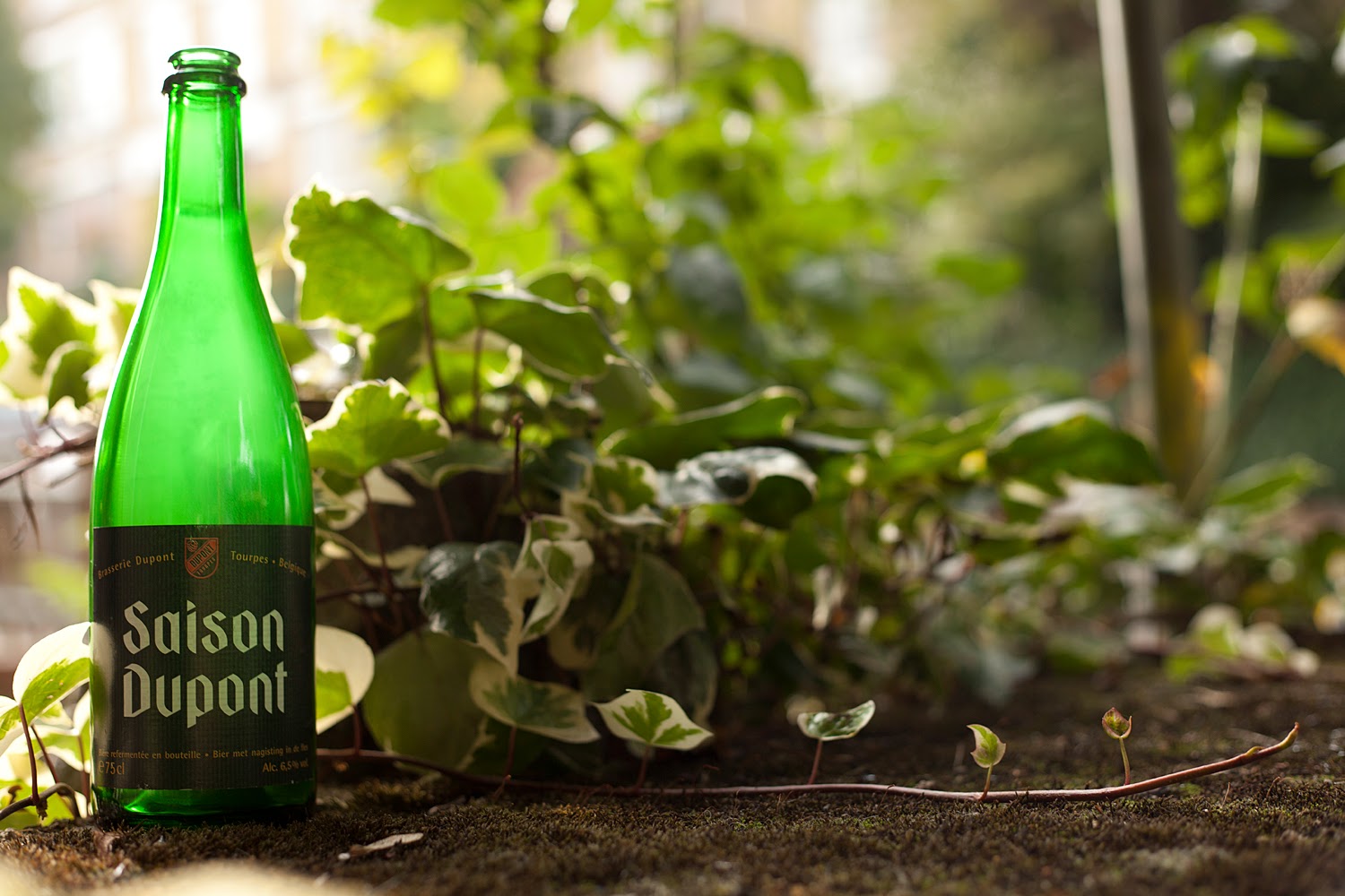 Reverend Beer: Brasserie Dupont, Saison Dupont