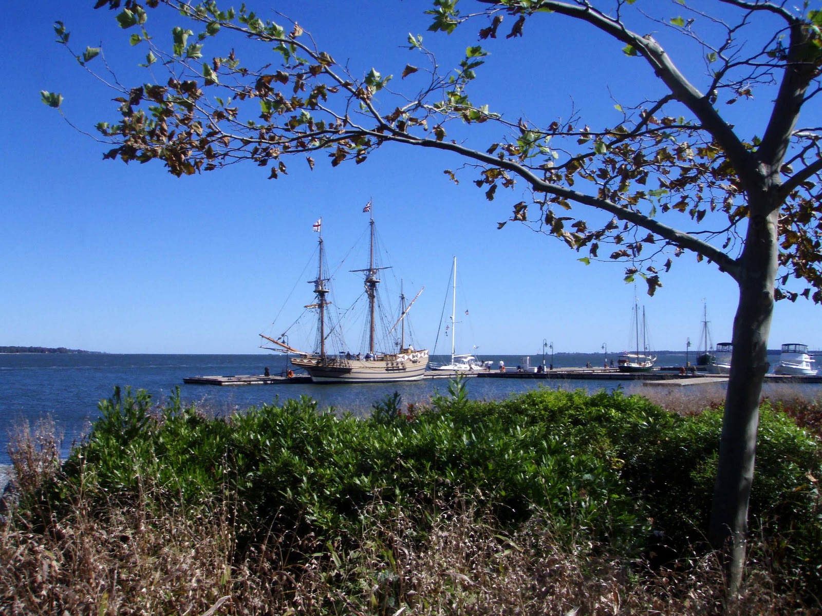 Exuberant Sailing: Truckin' Down the Bay