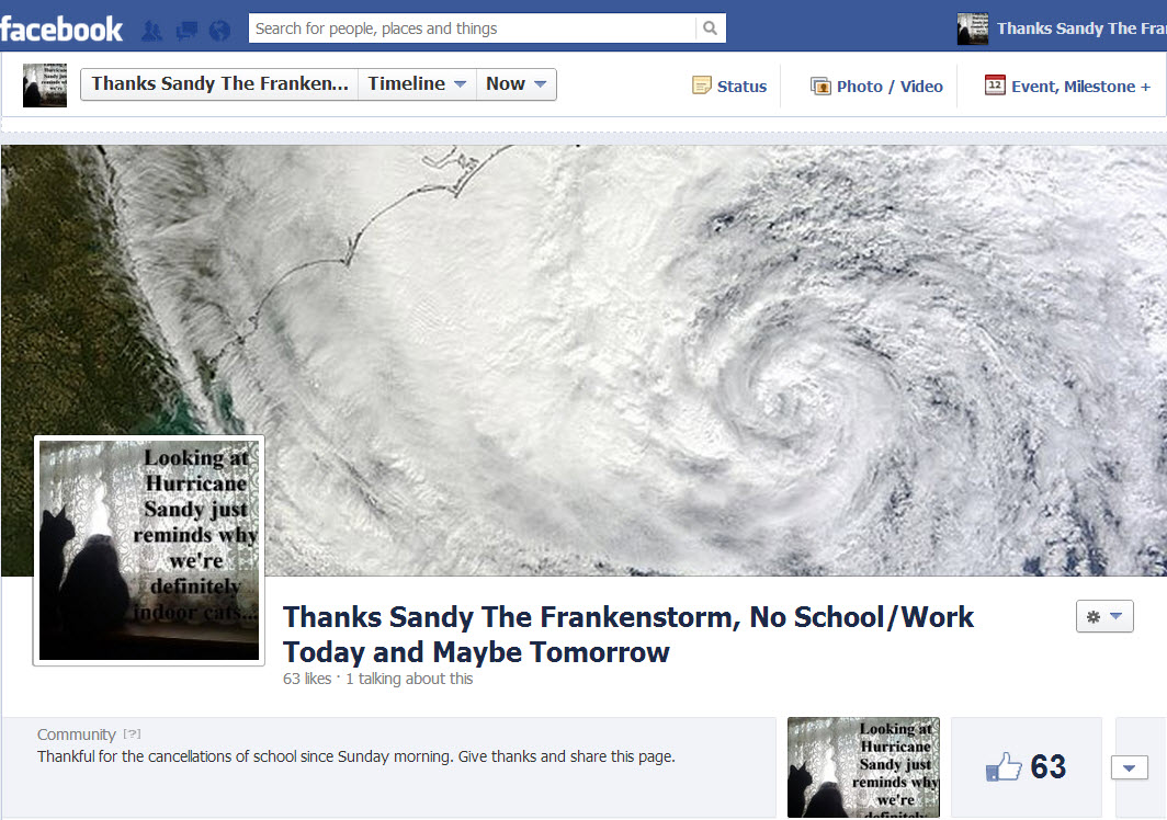 On Meme'ing Hurricane Sandy