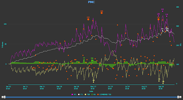 Iron Rambler: Kona 2018 Recap