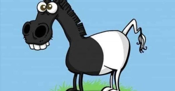 Zebra after defragmentation - Felicitări Online