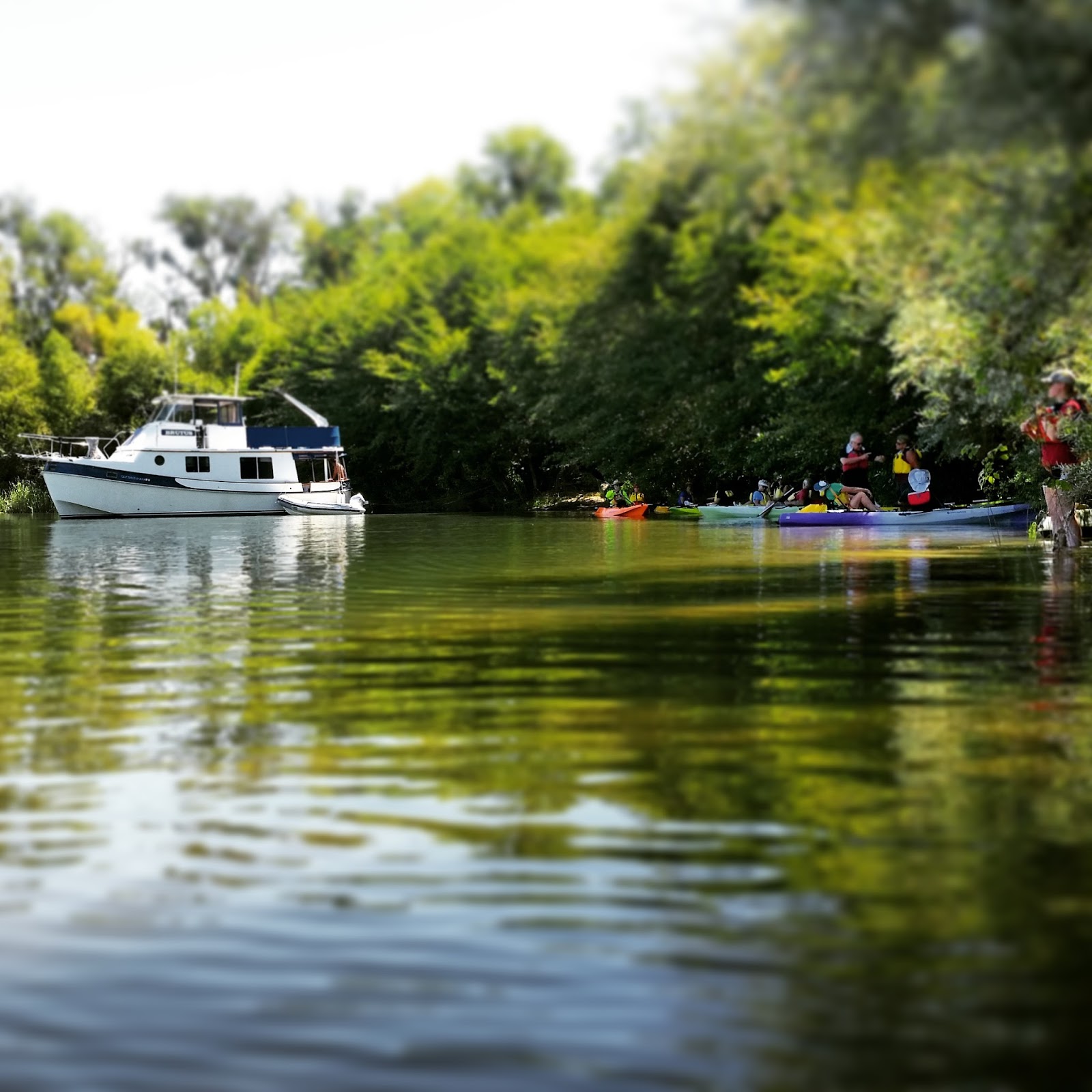 Kayaking the California Delta: Paddling and More Paddling