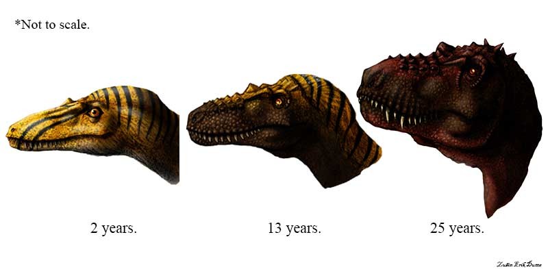 Evolutionary Vertebrate Zoology: March 2013