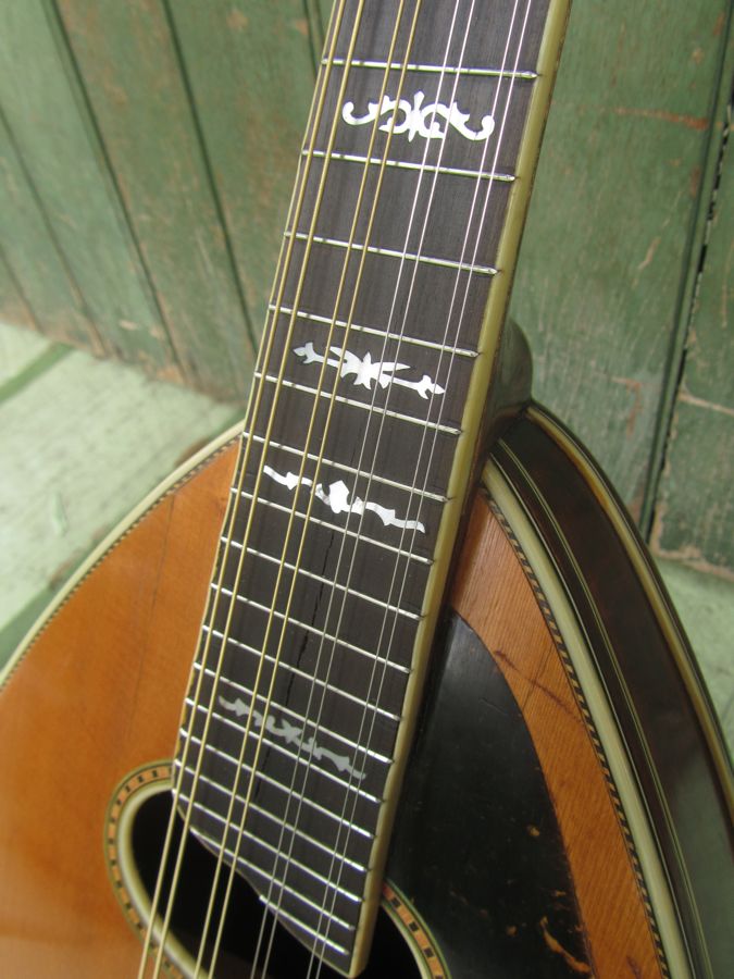 c.1915 Weymann Style 50 Mandolute Mandolin