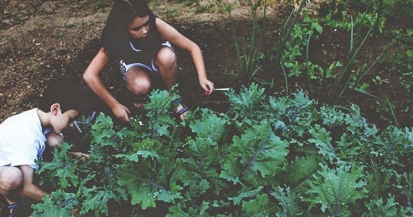 Antidepressant Microbes In Soil: How Dirt Makes You Happy | ThriveLiving Antidepressant Microbes In Soil: How Dirt Makes You Happy | ThriveLiving