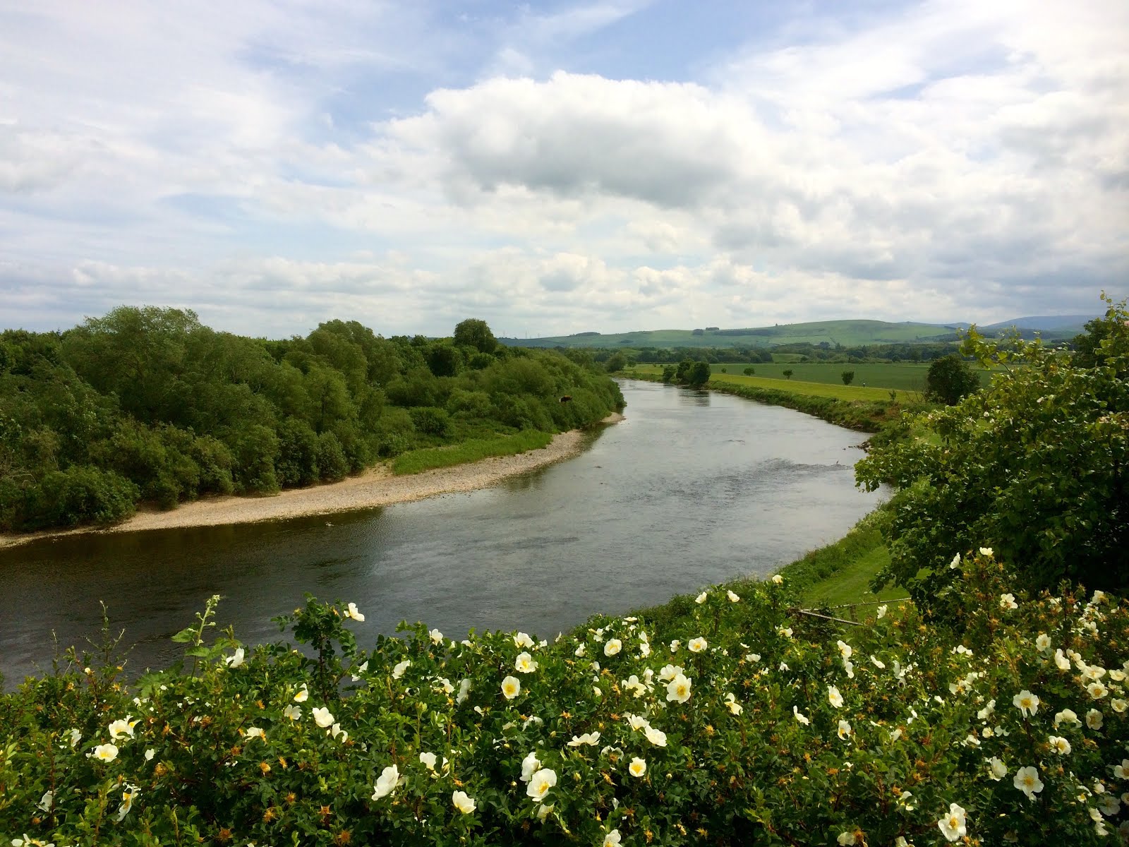 Days out in the Borders : River Tweed