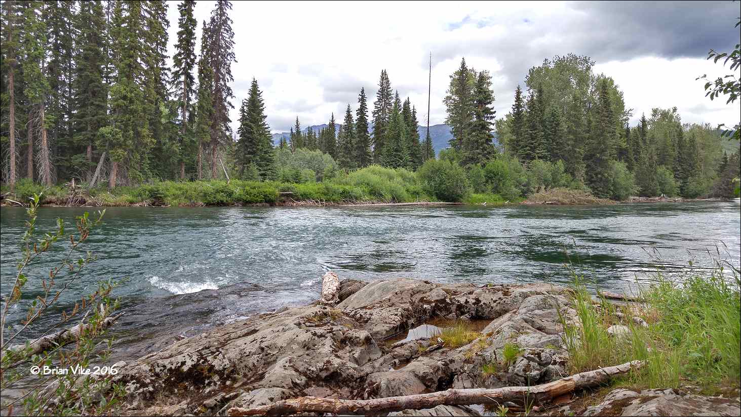 Northern Interior British Columbia: Morice River Known For It's ...