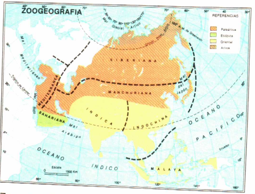 Perspectiva Espacio Temporal Mundial Eje Geográfico : Asia - Biomas